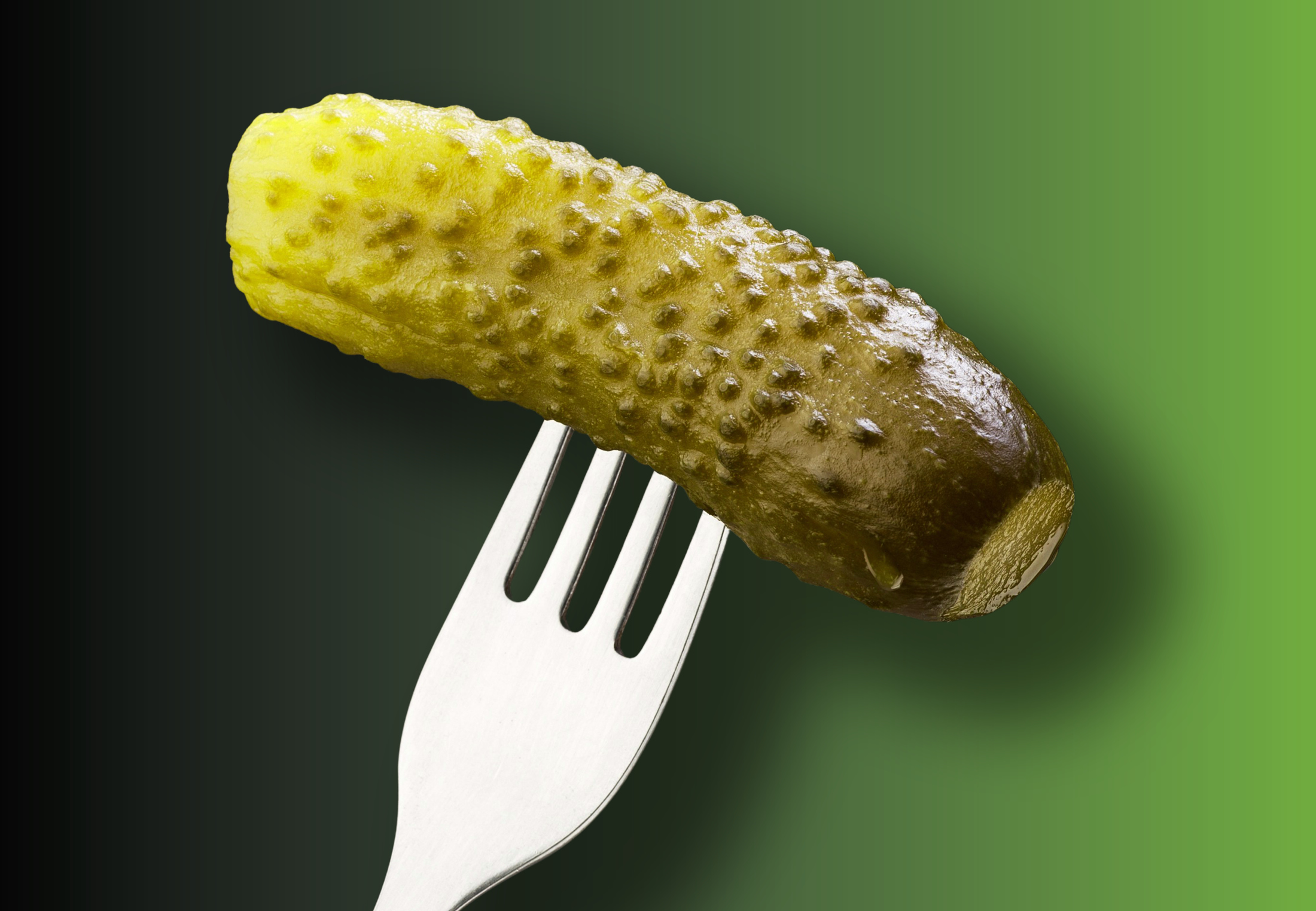 Er leeft een bijzondere bacterie in je darmen die cruciaal is voor je ...