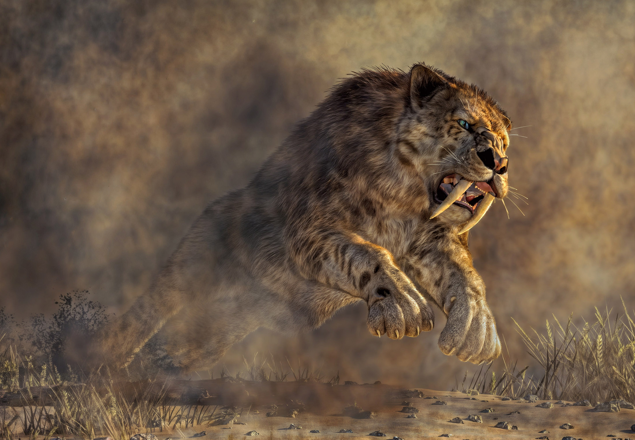 Hvordan jagede sabelkatten? | illvid.dk