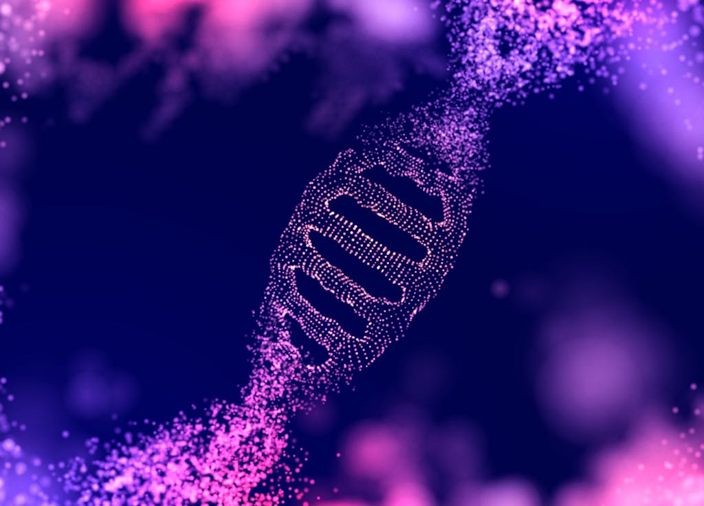 Lave nivåer av genet Trim28 kan føre til to tilstander som påvirker ...