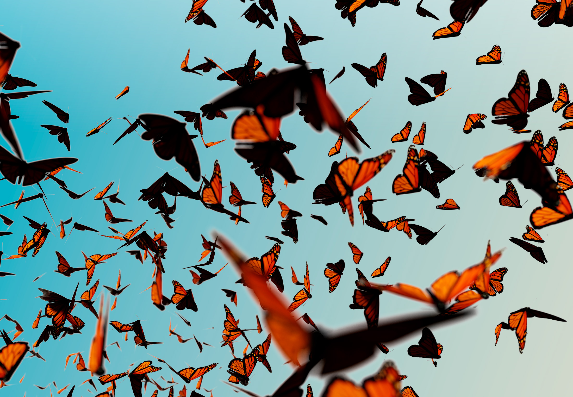 Dyrerikets ekstreme globetrottere: Her er fem dyr med en rekordhøy ...