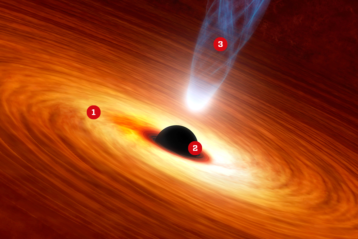 Stephen Hawking tæmmede big bang og sorte huller | illvid.dk