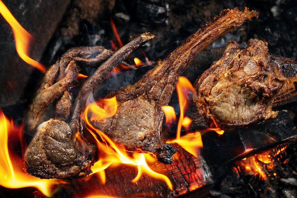 New theory: fermentation gave humans a big brain | scienceillustrated.com