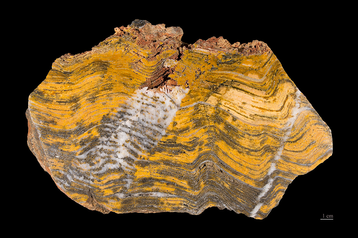 Hvordan oppsto livet? | illvit.no