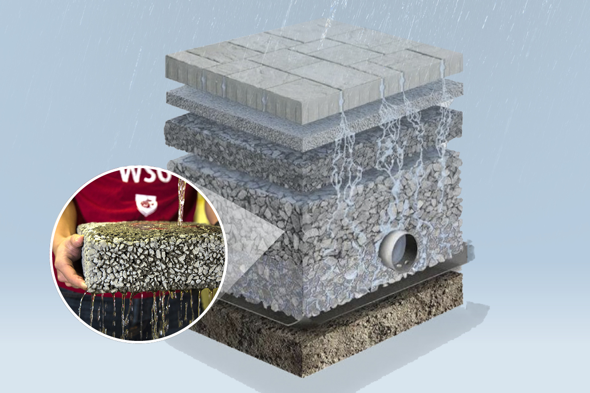 Sponge cities to ward off flooding | scienceillustrated.com