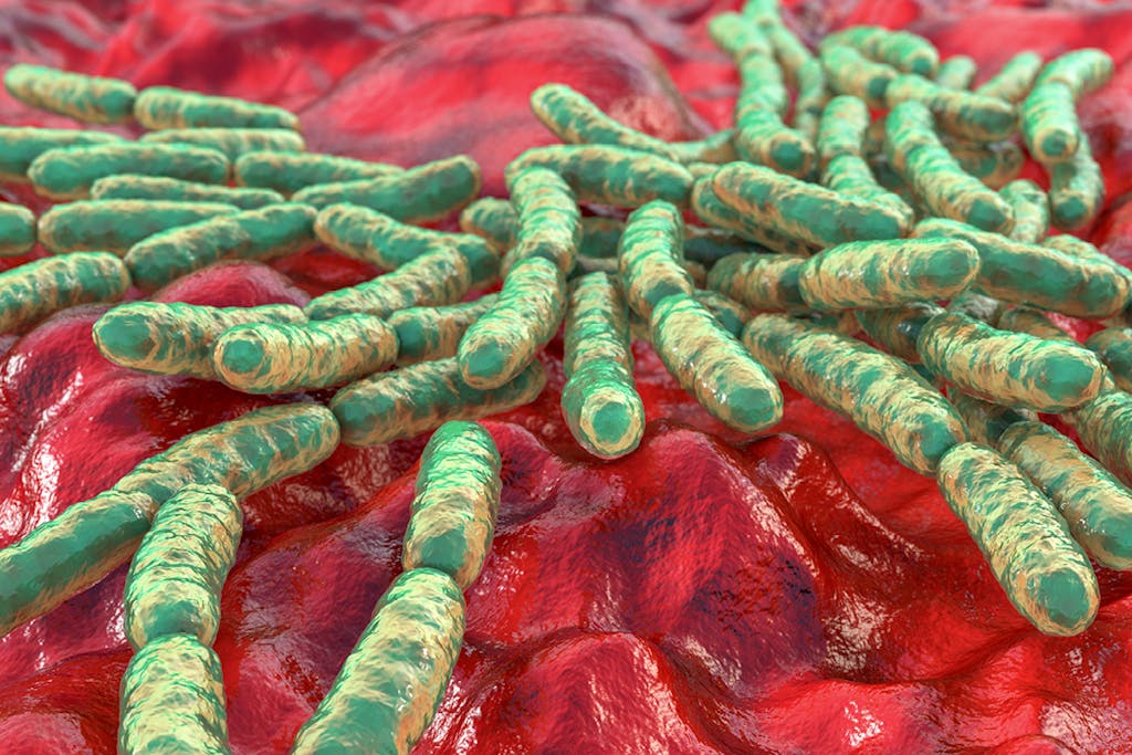 Uusi teoria: Hapatettu ruoka kasvatti ihmisaivoja | tieku.fi