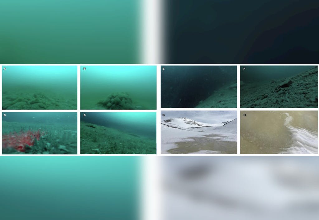 Unique discovery: mysterious Antarctic lake harboured a secret world of ...