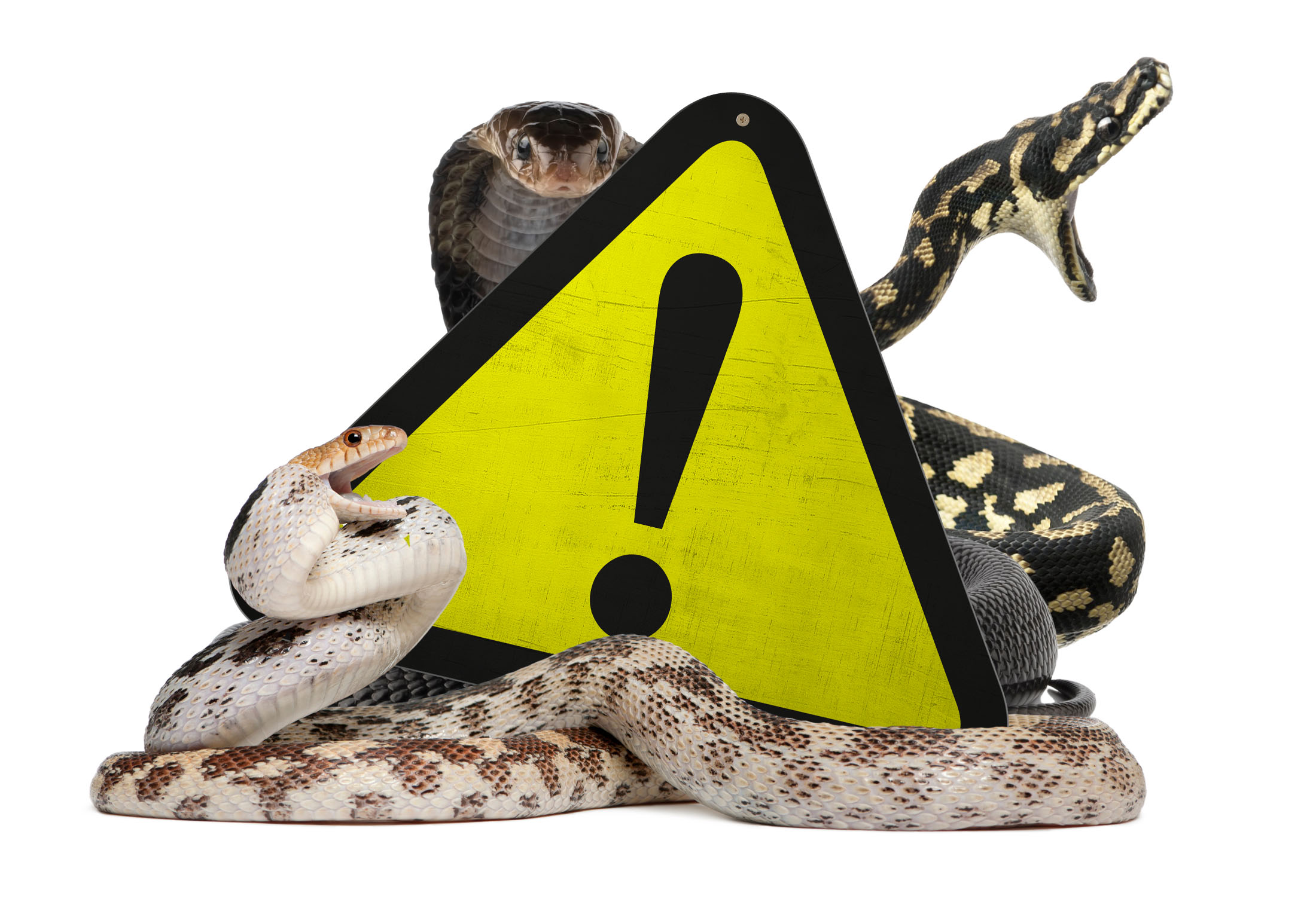 Geboren killers | wibnet.nl