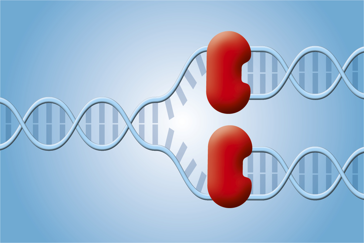 Her er DNA-metoden, der pludselig kan genåbne uopklarede drabssager på ...