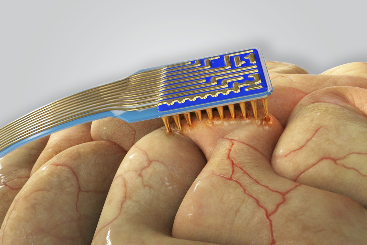 Din inre röst: Förstå dess hemligheter | illvet.se