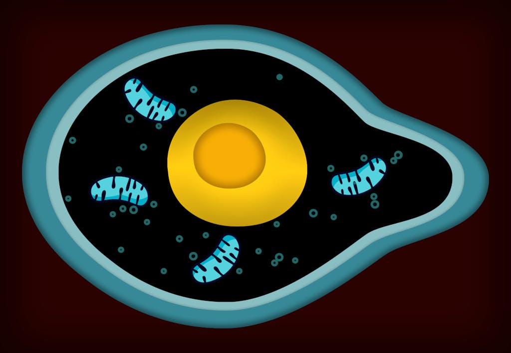 Bakteerit ja sienet voivat taittaa ilmassa 2 000 km | tieku.fi
