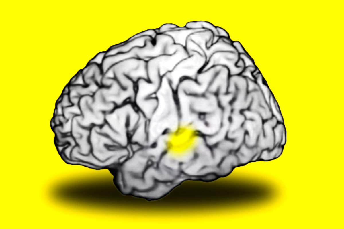 Kunstig intelligens læser dine tanker | illvid.dk