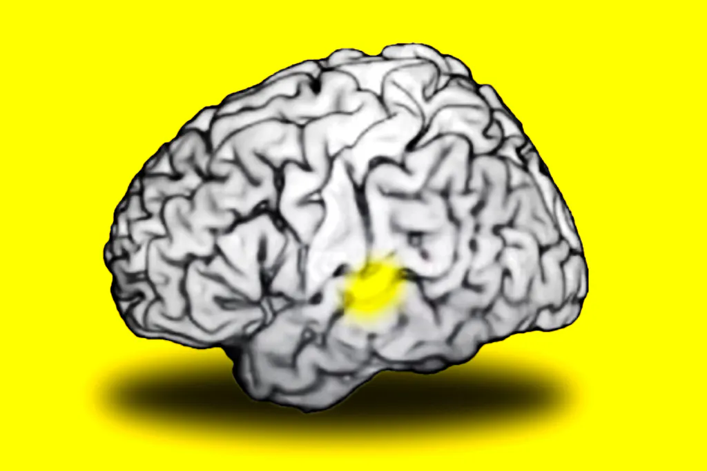 Kunstig intelligens leser tankene dine | illvit.no