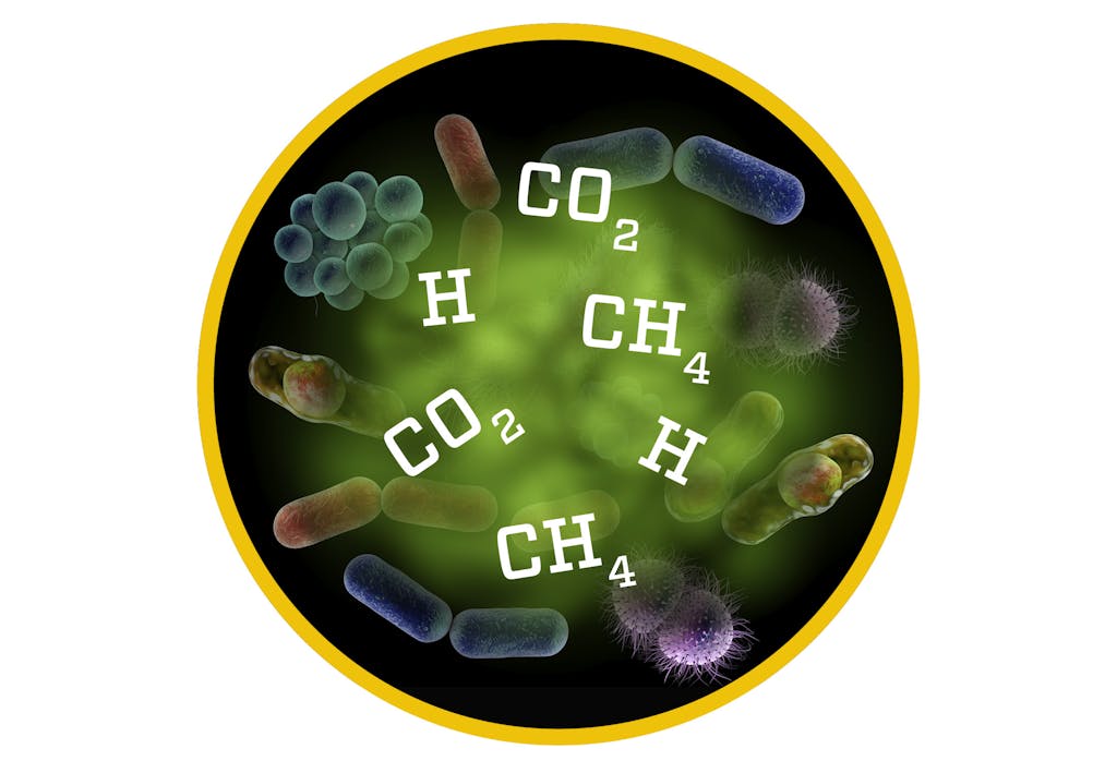 Is drijvende poep gezond? | wibnet.nl