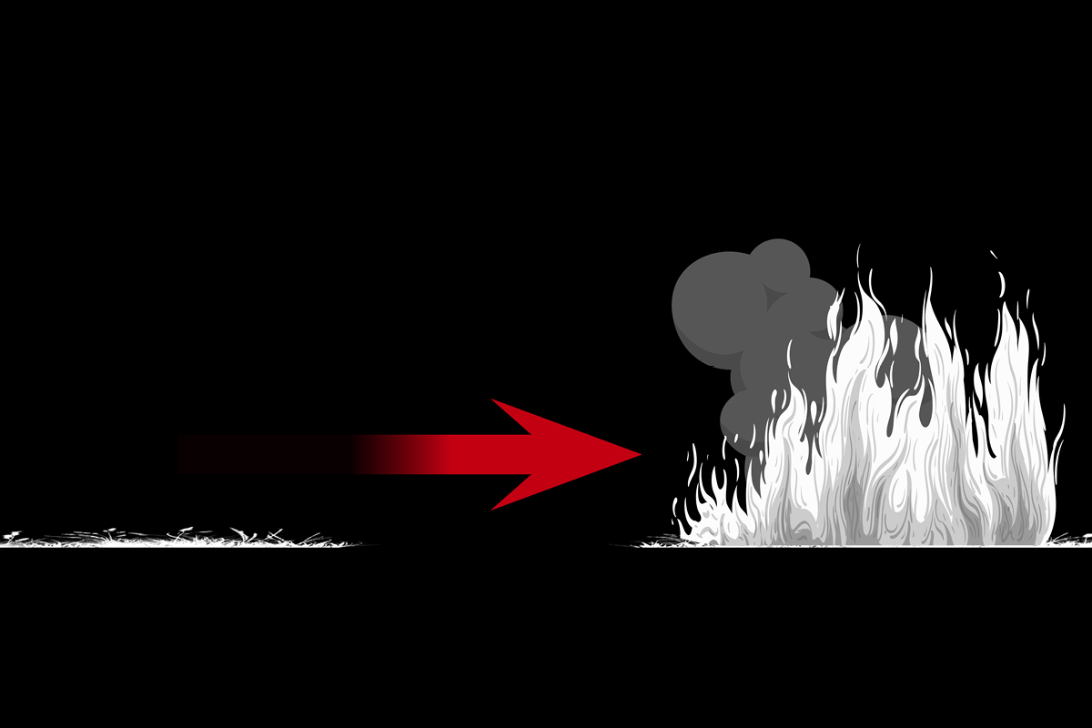 Colossal Biosciences kweekt wolharige muizen om de mammoet terug te ...