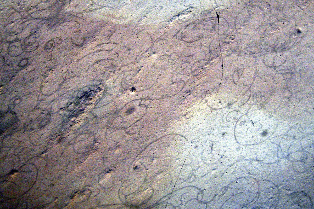 New discovery: dark oxygen gave Earth sophisticated life ...