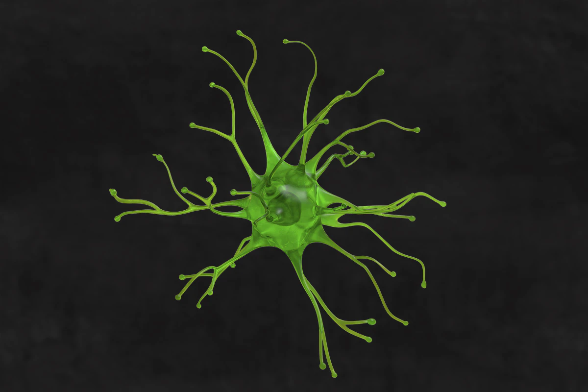 Scientists map the entire human brain | scienceillustrated.com