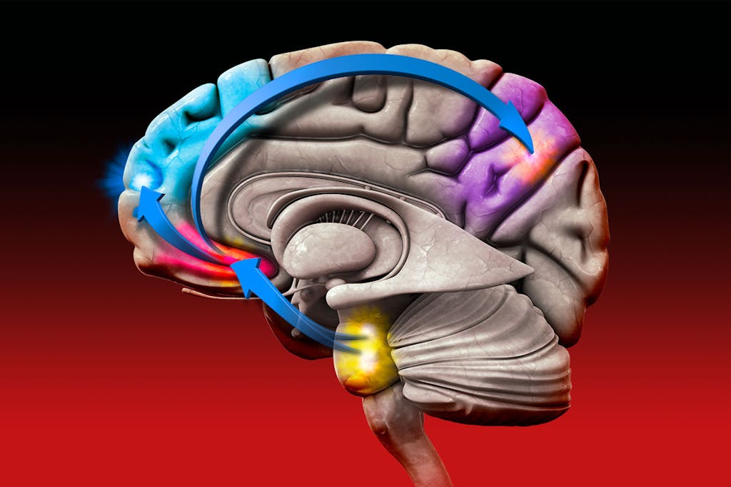 Eenzaamheid vreet aan je hersenen | wibnet.nl