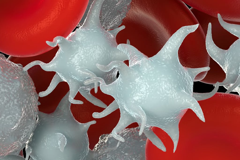 Valuable knowledge: the contents of your blood | scienceillustrated.com