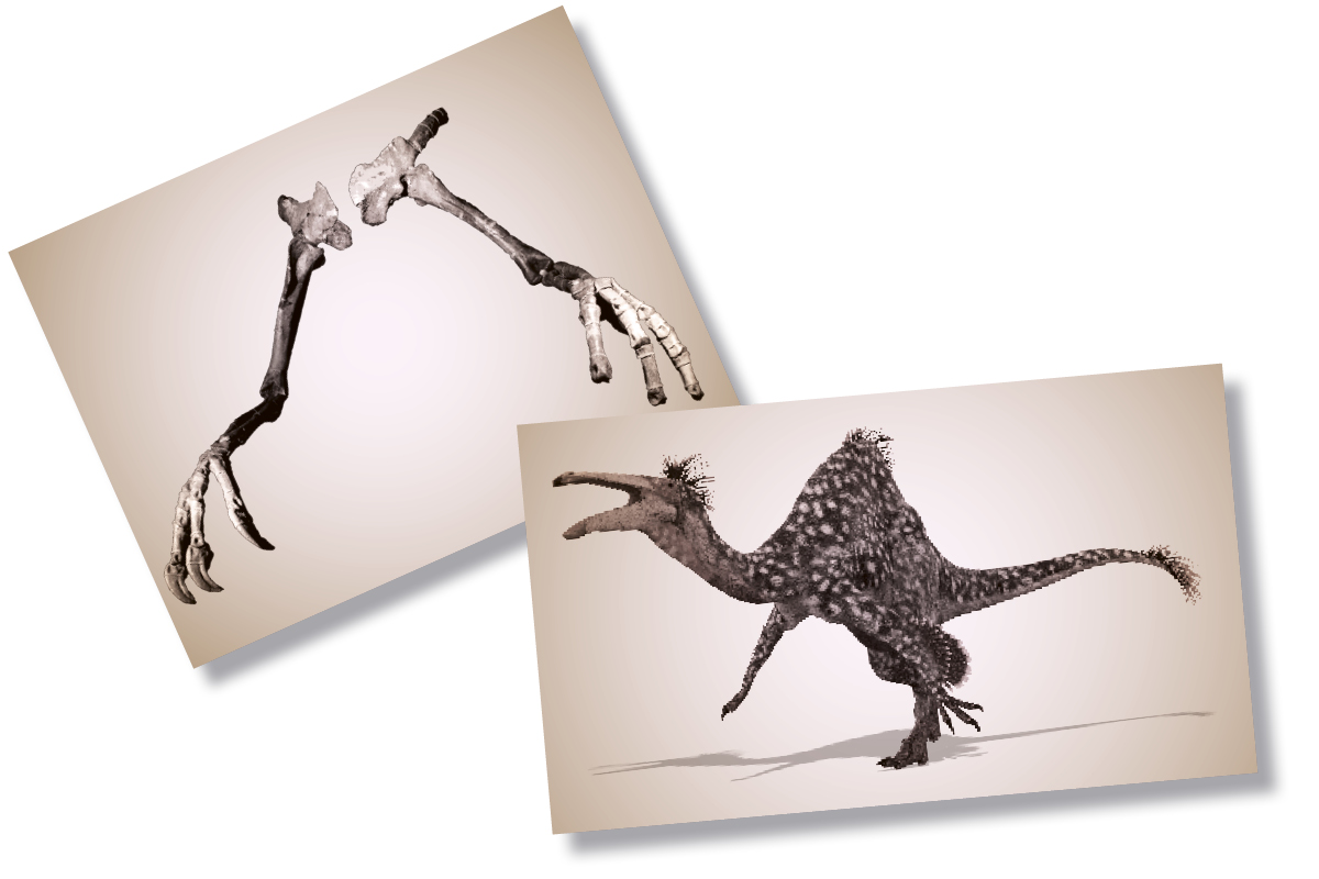 See the list: dinosaur hunters' strangest discoveries ...