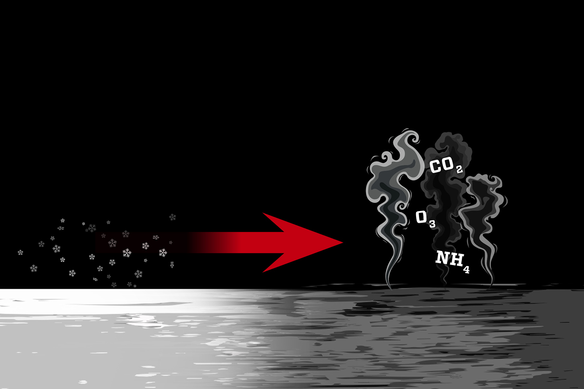 Colossal Biosciences breeds woolly mice in an attempt to restore the ...