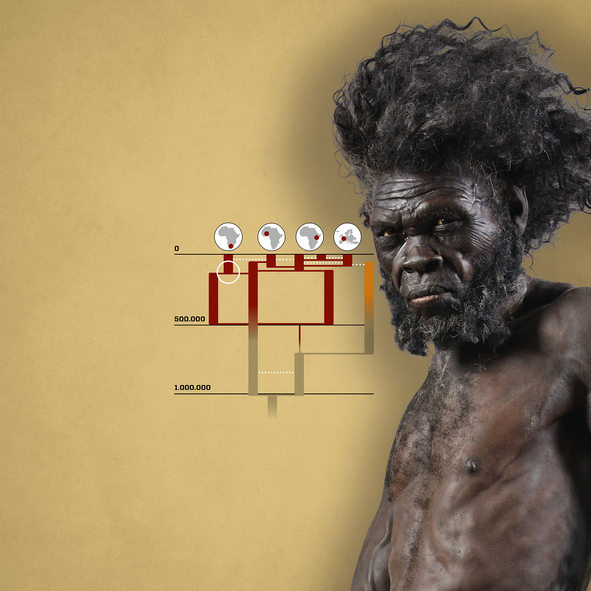 DNA-analyse ontwortelt de menselijke stamboom | wibnet.nl