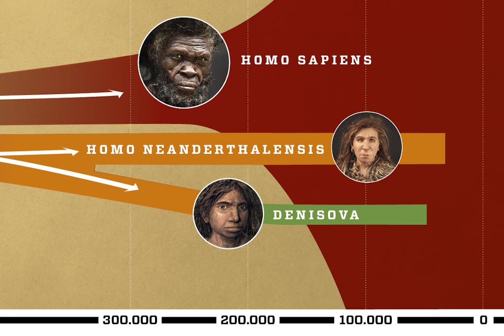 DNA analysis uproots the human family tree | scienceillustrated.com