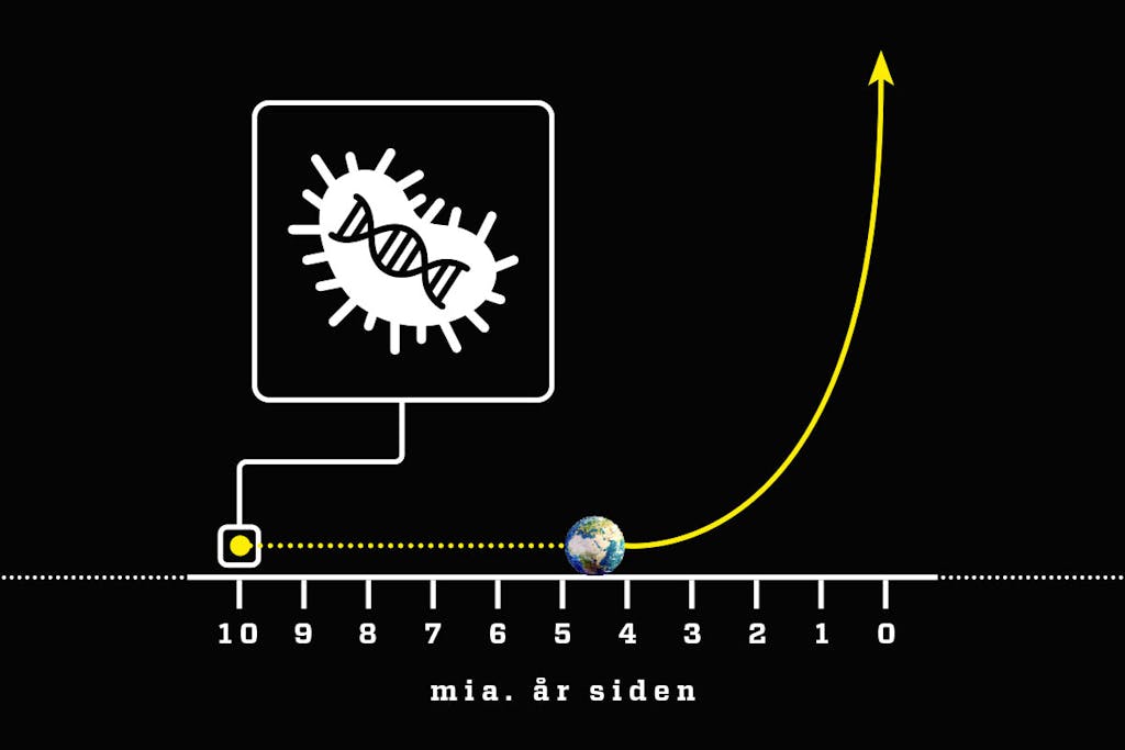 Wilde theorie: Leven in het heelal is één grote familie | wibnet.nl