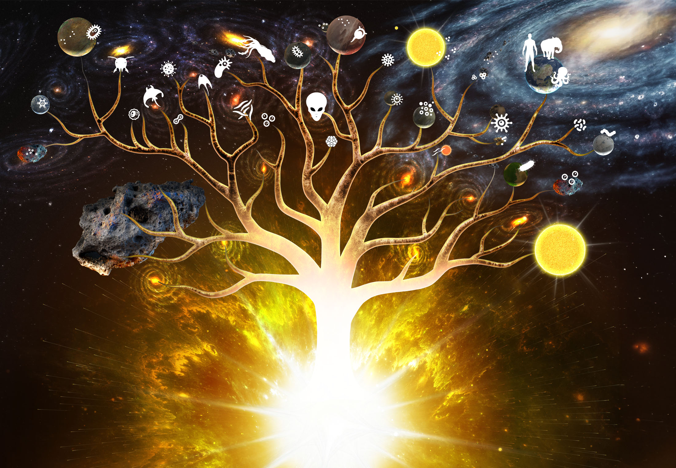 Vondst op aarde is 2,3 miljard jaar oude maanmeteoriet | wibnet.nl