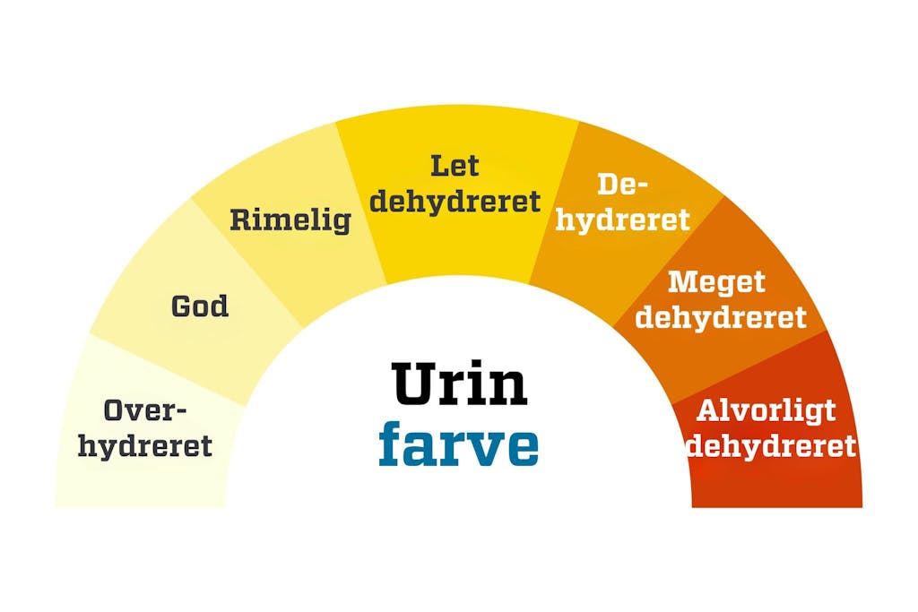 Derfor lugter urinen sødt eller af ammoniak | illvid.dk