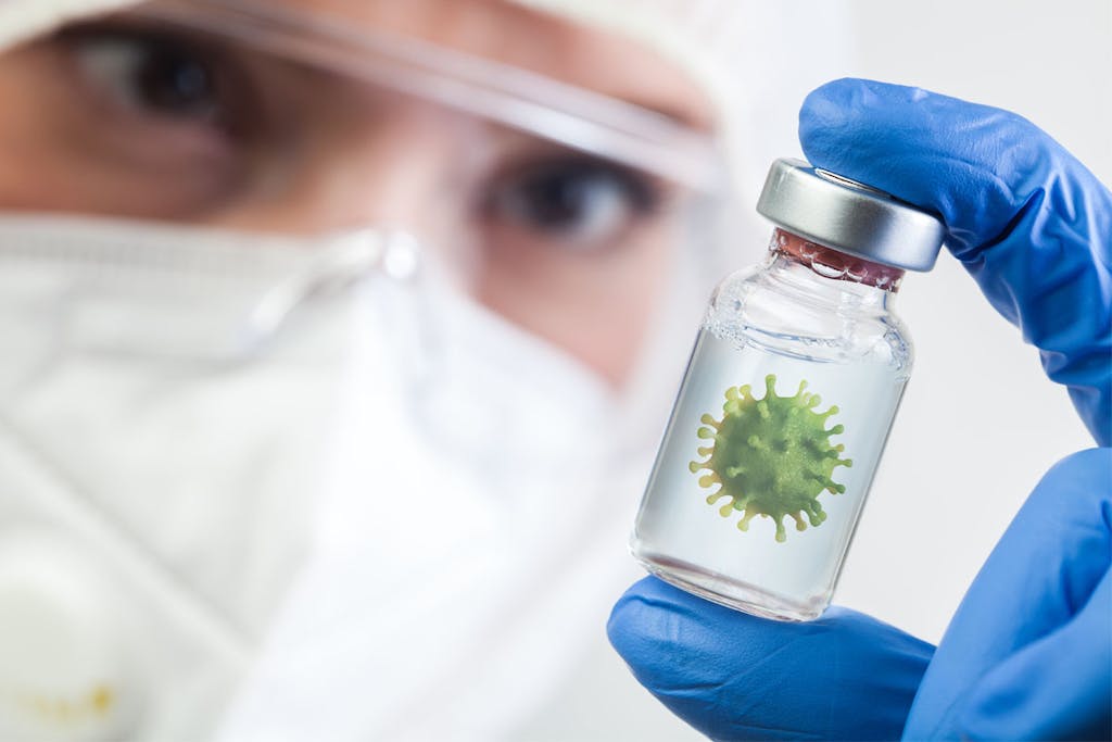 Væggelus indtager verdens storbyer | illvid.dk