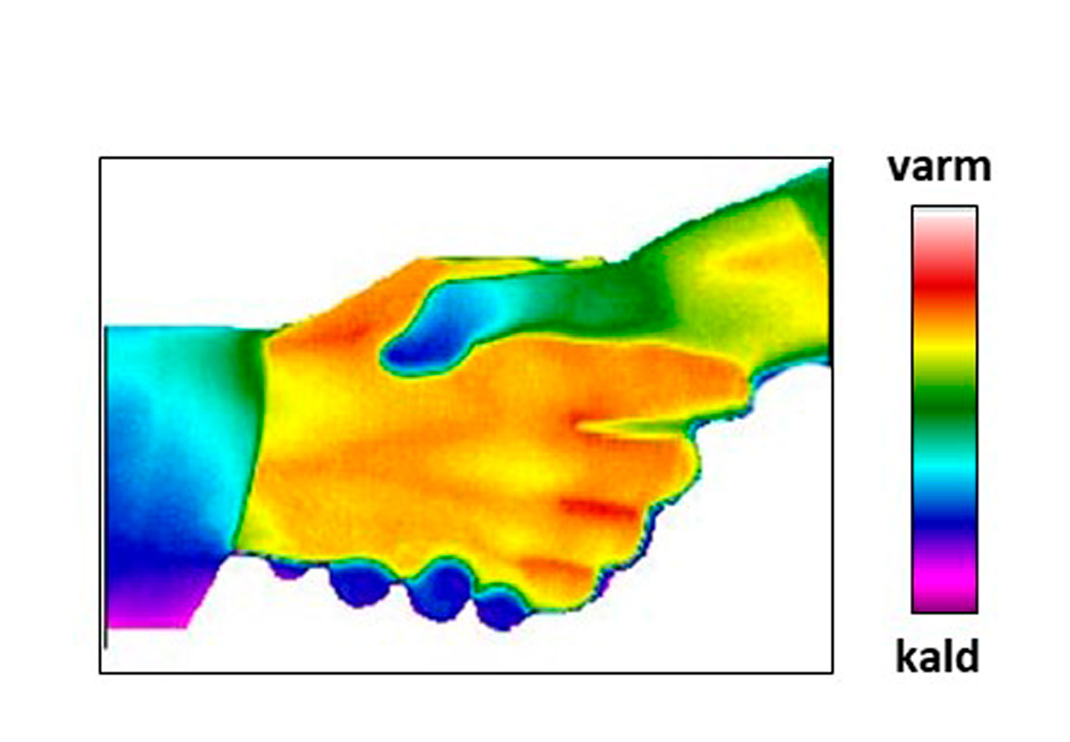 Professor: Derfor fryser nogle mennesker mere end andre | illvid.dk