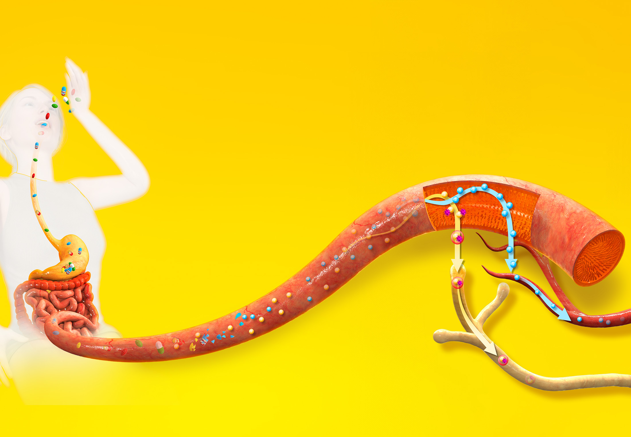 Onko vitamiinipillereistä hyötyä? Asiantuntija vastaa | tieku.fi