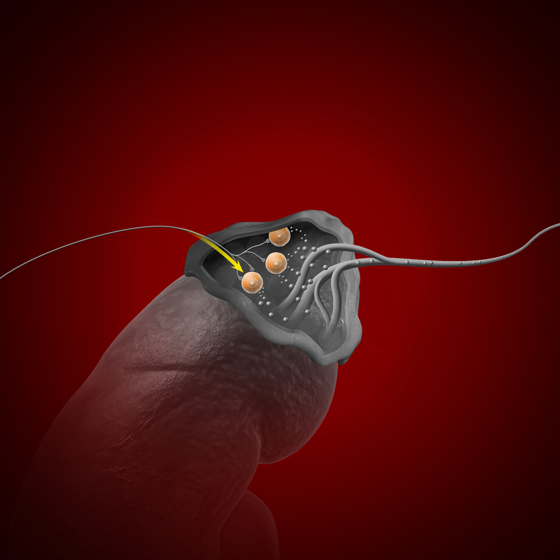 Je bent 2 seconden verwijderd van een woede-uitbarsting | wibnet.nl