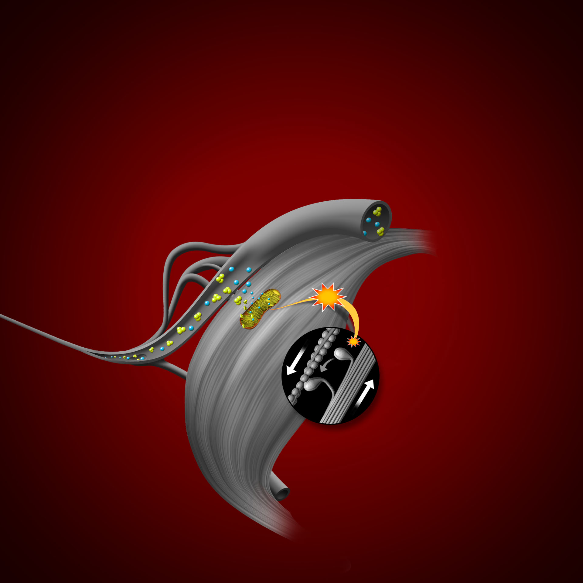 You are two seconds from exploding in anger | scienceillustrated.com