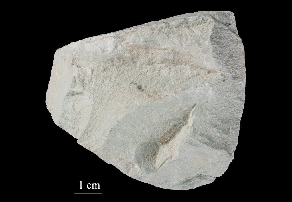 Banebrytende teknologi gjør CO₂ og metan om til ren energikilde | illvit.no