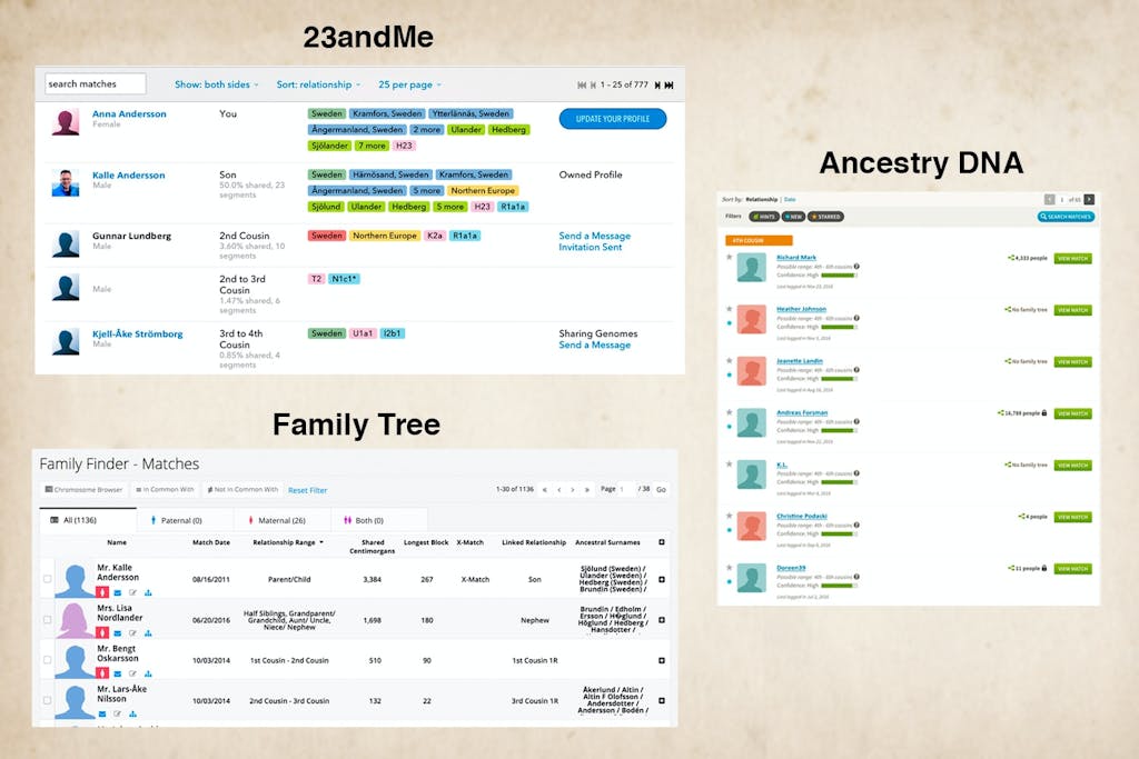 Så går du vidare med DNA-resultatet! | Slakthistoria.se