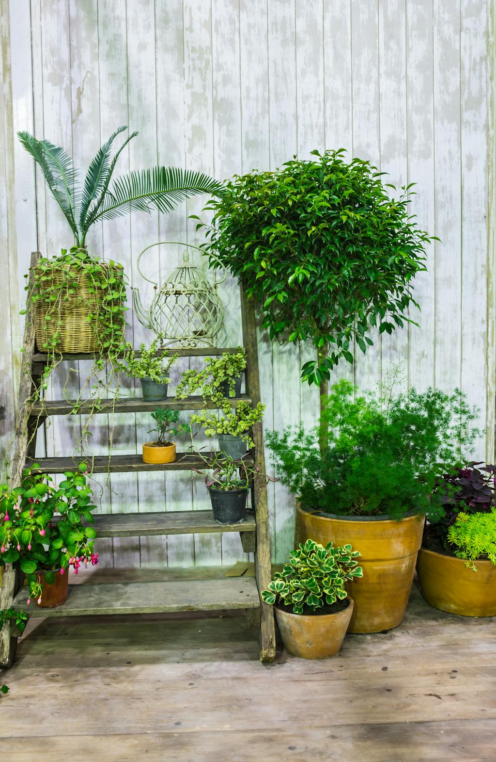 Sådan får du en hyggelig altan | woman.dk