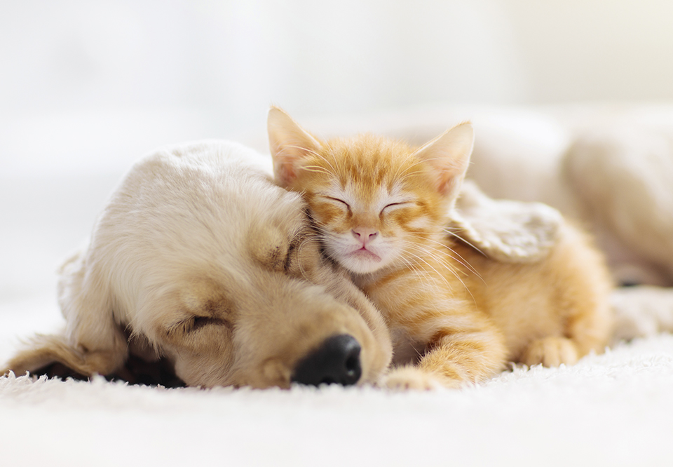 Gamle danske navne | Se 279 gamle drenge- og pigenavne her | woman.dk