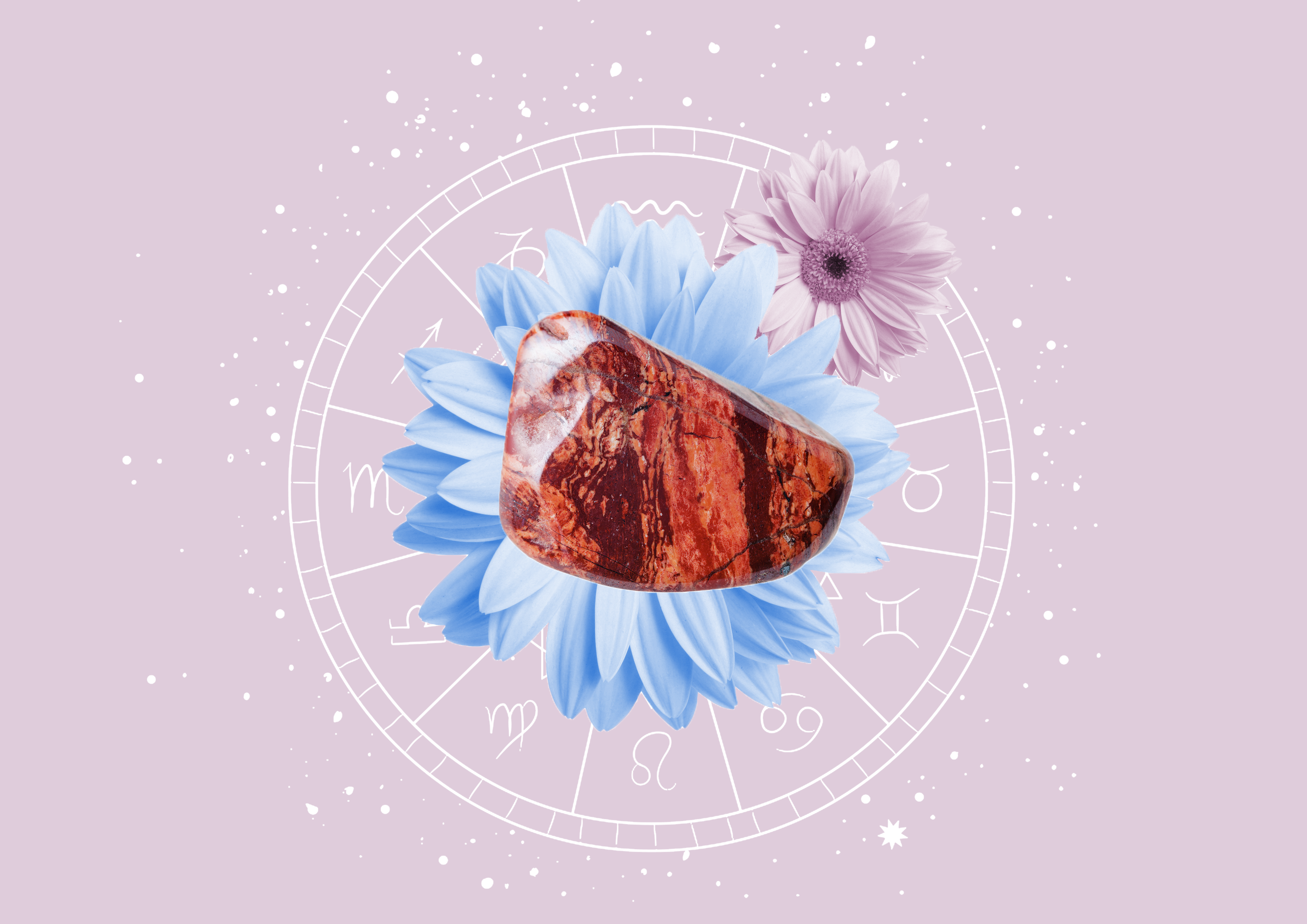 Stjernetegnet Krebsen | woman.dk