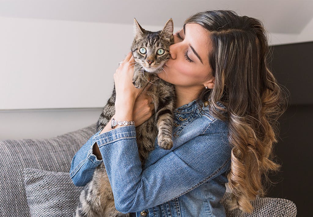 9 tips til at forstå din kats kropssprog | woman.dk