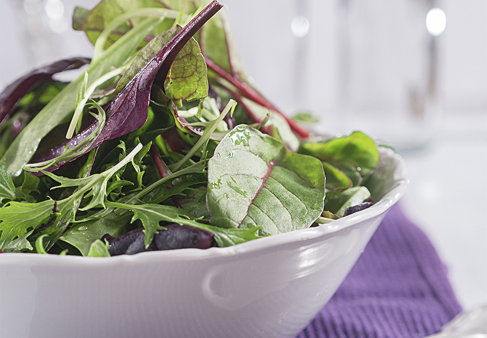 Salat | Sådan holder du din nyindkøbte salat frisk i længere tid | woman.dk