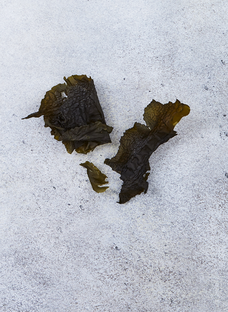 Hvad er tang egentlig? Her får du forklaringerne på 5 slags tang | woman.dk