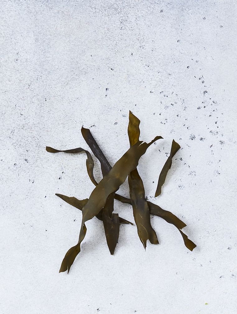 Hvad er tang egentlig? Her får du forklaringerne på 5 slags tang | woman.dk