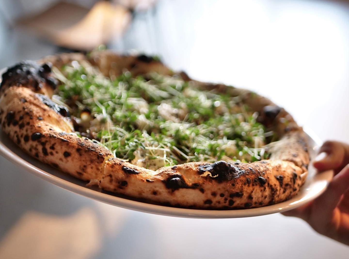 Pizza i København: Her er de 12 bedste pizzasteder | woman.dk