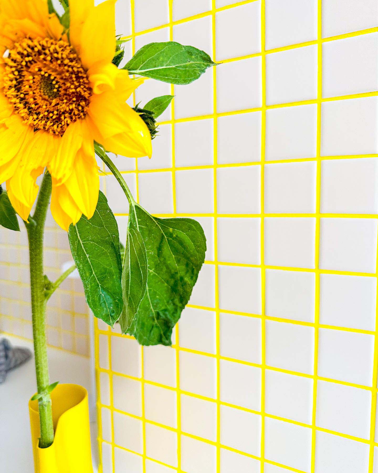 1 million har set Ida sætte fliser op i køkkenet – selvom idéen ikke er ...