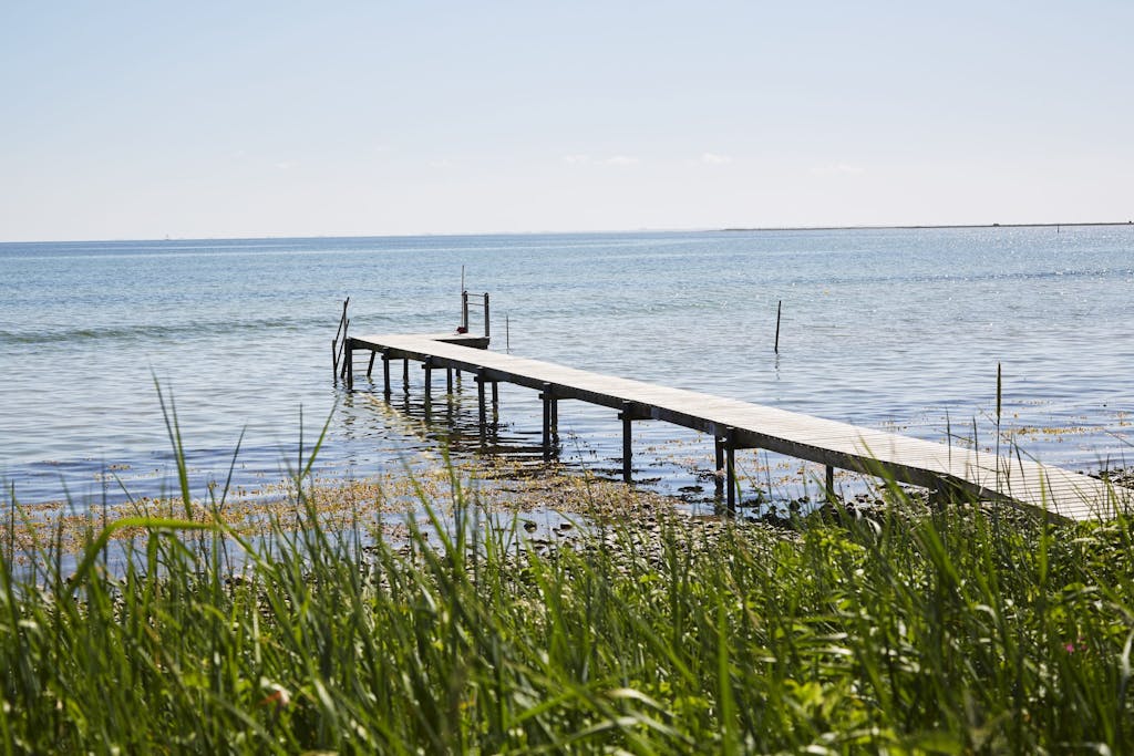 De rev sommerhuset ned for at bygge drømmehuset i vandkanten, så roen ...