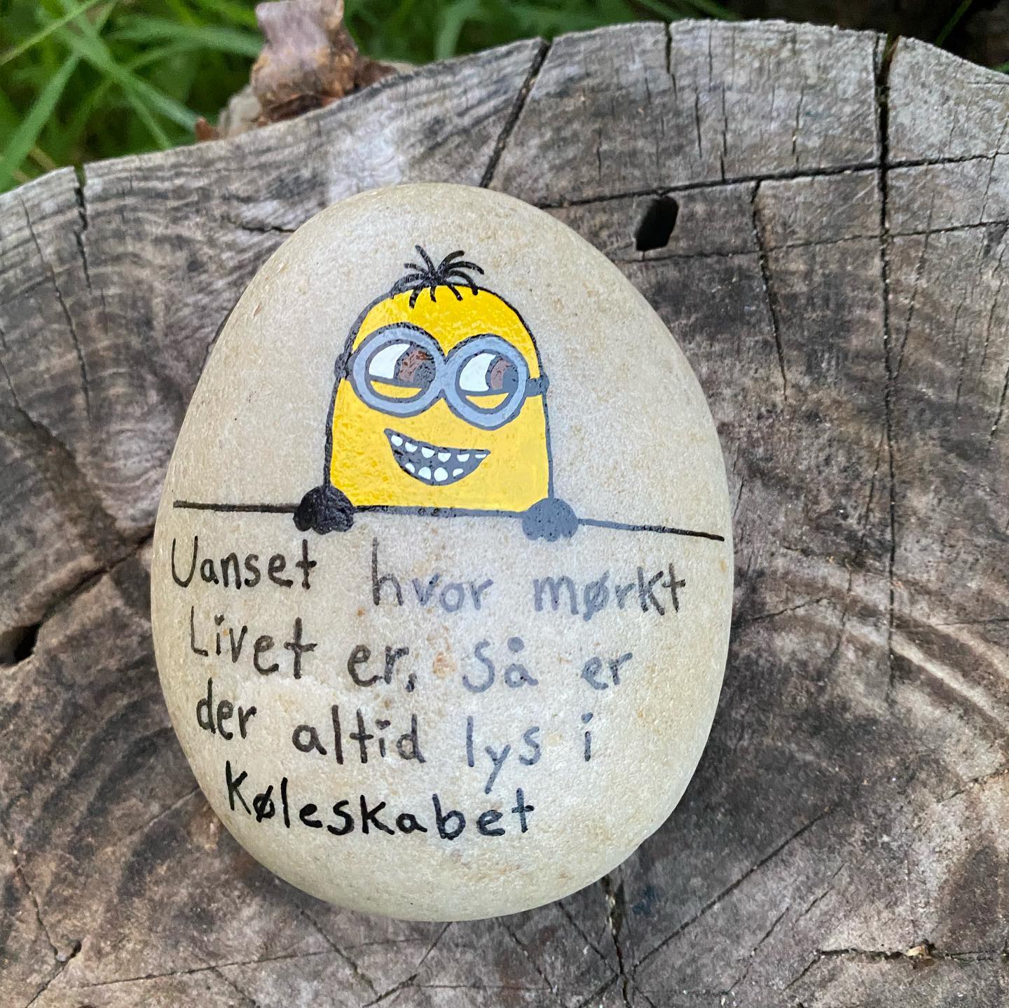 Inspiration til maling på sten: 15 idéer | woman.dk