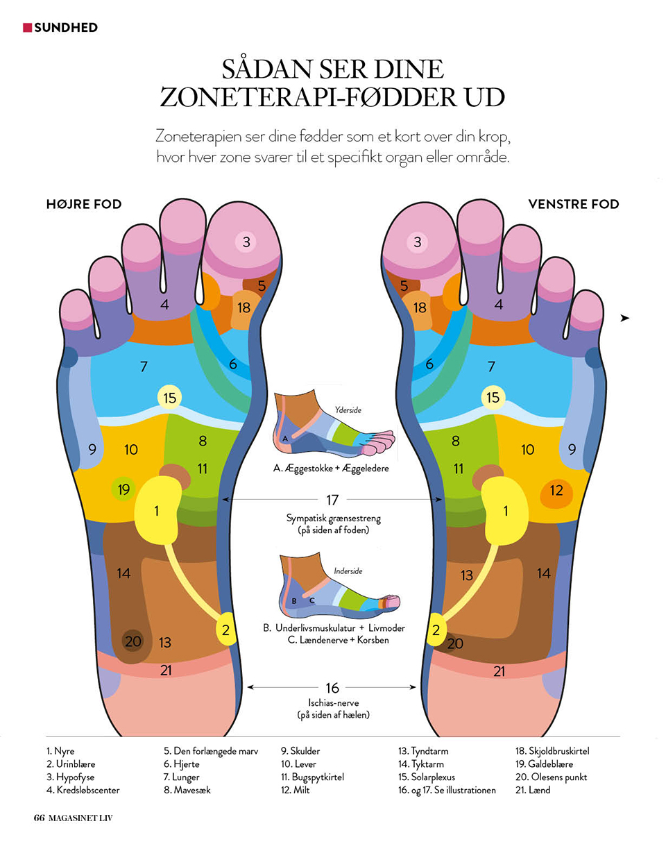 Zoneterapi punkter | Se den nemme guide for begyndere | woman.dk