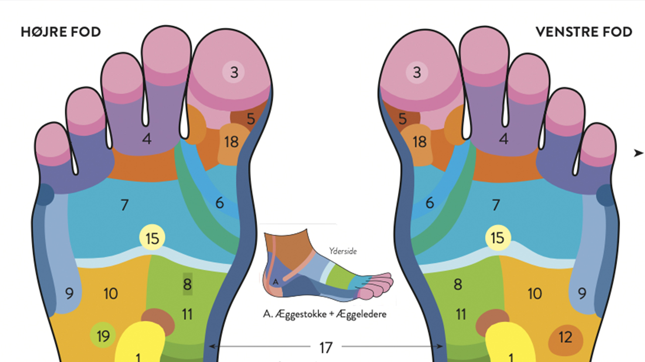 Zoneterapi punkter | Se den nemme guide for begyndere | woman.dk