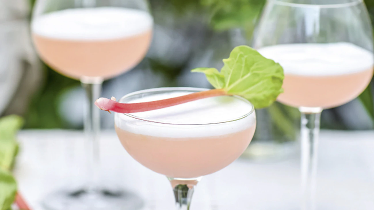 5 friske drinks med rabarber | woman.dk